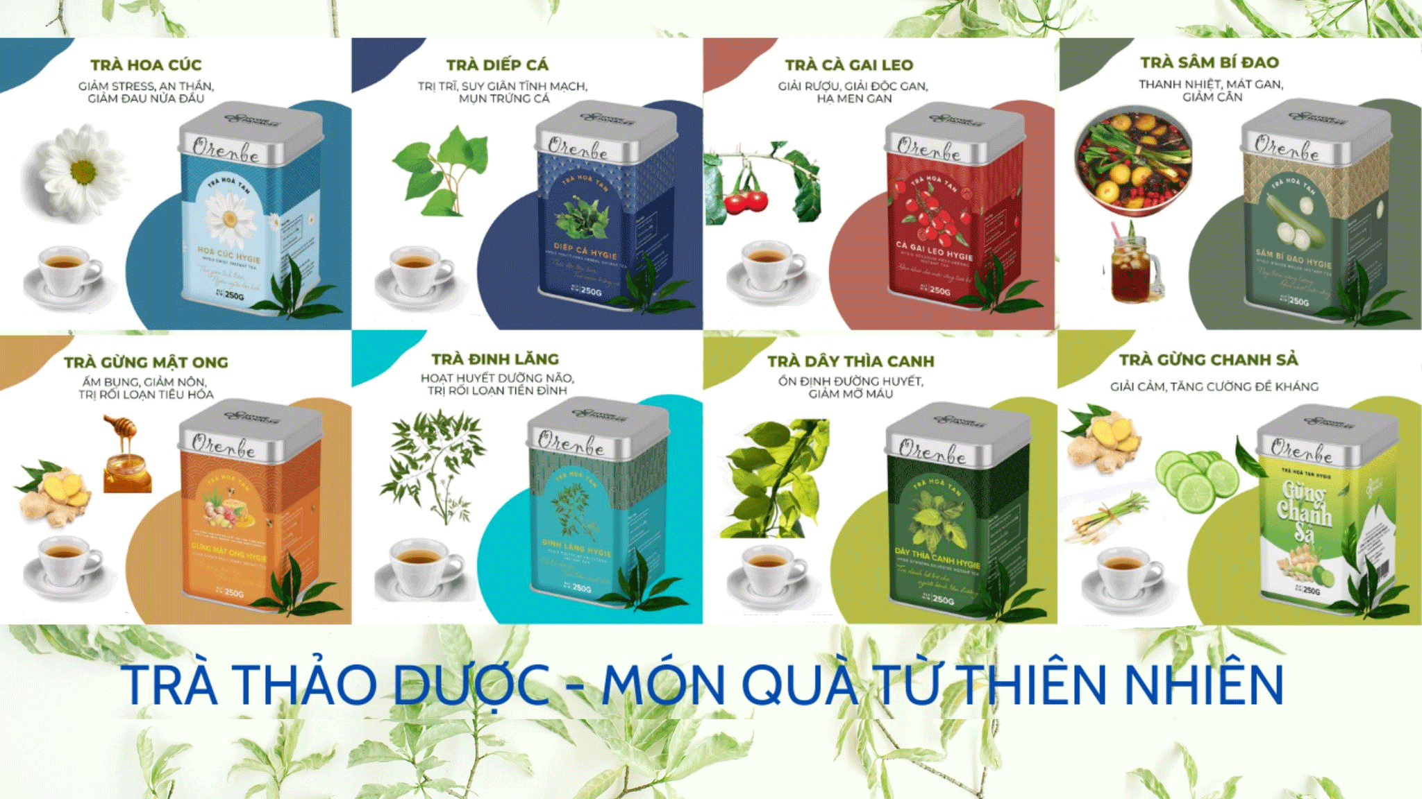 DƯỢC TRÀ HYGIE LÀ GÌ? DƯỢC TRÀ HYGIE CÓ TỐT CHO SỨC KHỎE KHÔNG? - Orenbe